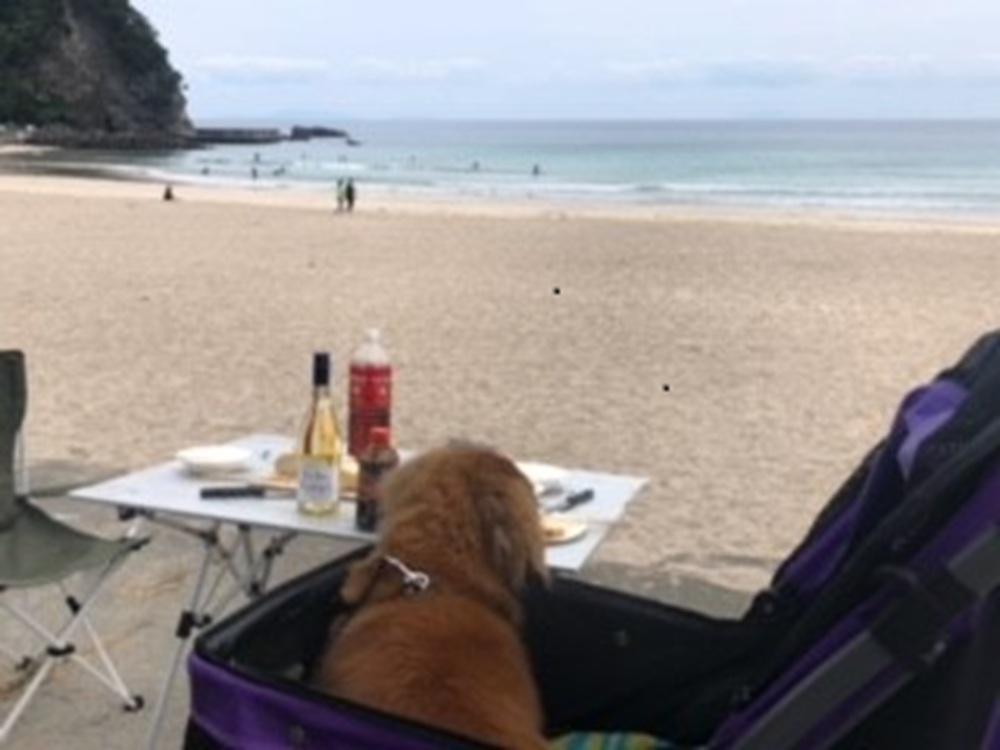 VW ヴァナゴンT4 Multivan（Caravelle） VR6 ’97モデル後期型 発売！ | Malibu Corporation